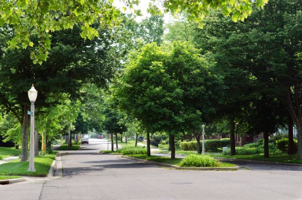 Grants Available to DTE Customers for Public Tree-Planting Projects May ...