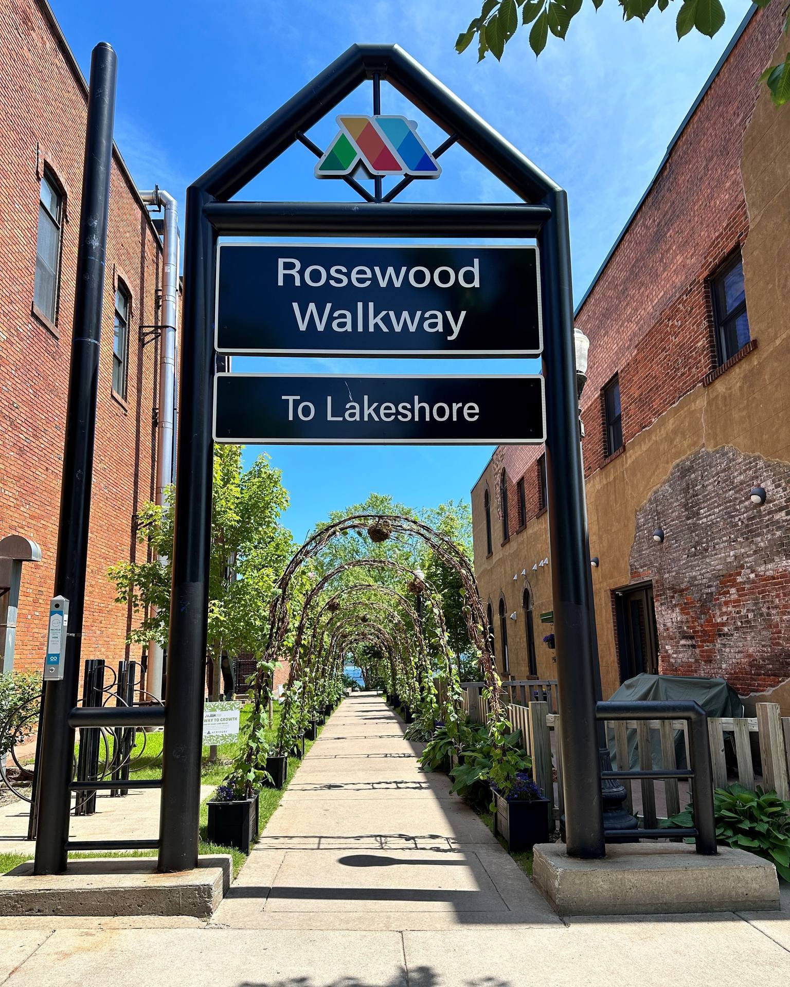 New Rosewood Walkway Installation Celebrates Art Week Theme: GROW ...